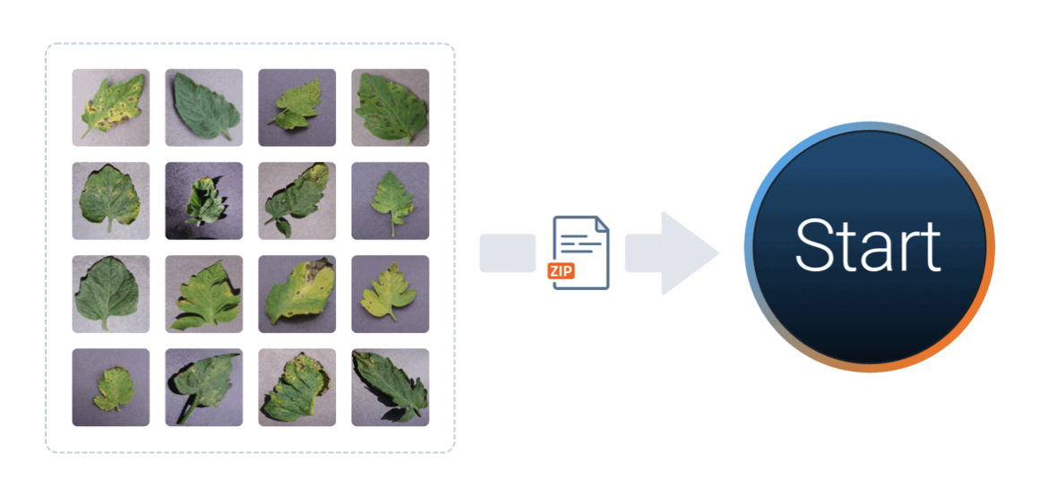 Computer Vision and Auto ML - Introduction with Newcomp Analytics ...